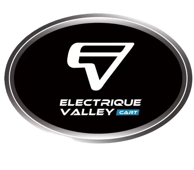 Electrique Valley
